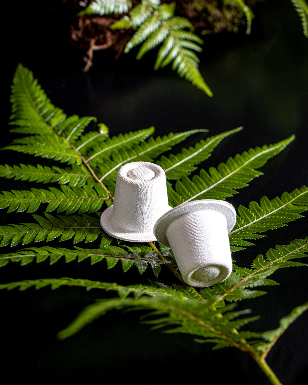 Eco Friendly Coffee | Sustainable to Your Door | Zero Waste Coffee ...